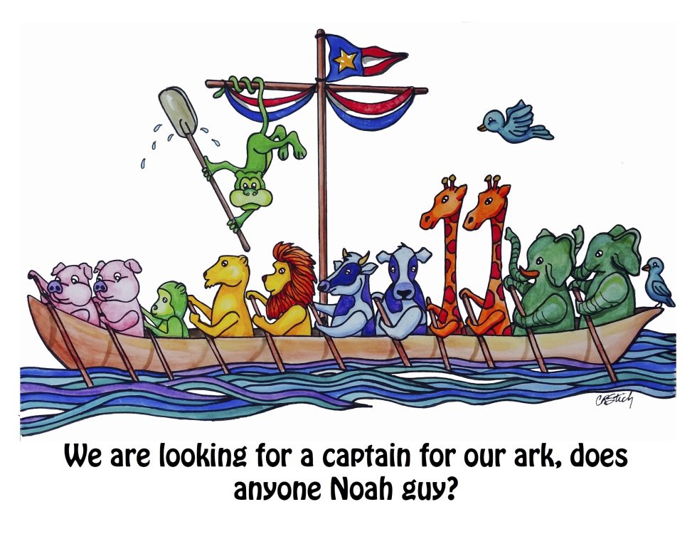 Gallery - Carolynstich